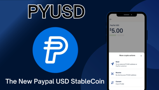 What is PYUSD? The New Paypal USD StableCoin. - Guidady